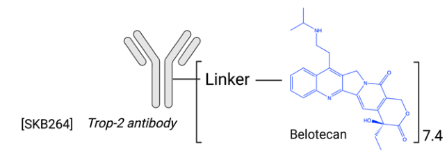 有效载荷（payload）的多样性：ADC药物未来开发的关键一环 - 脉脉