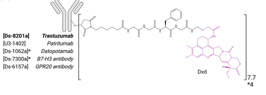 有效载荷（payload）的多样性：ADC药物未来开发的关键一环 - 脉脉