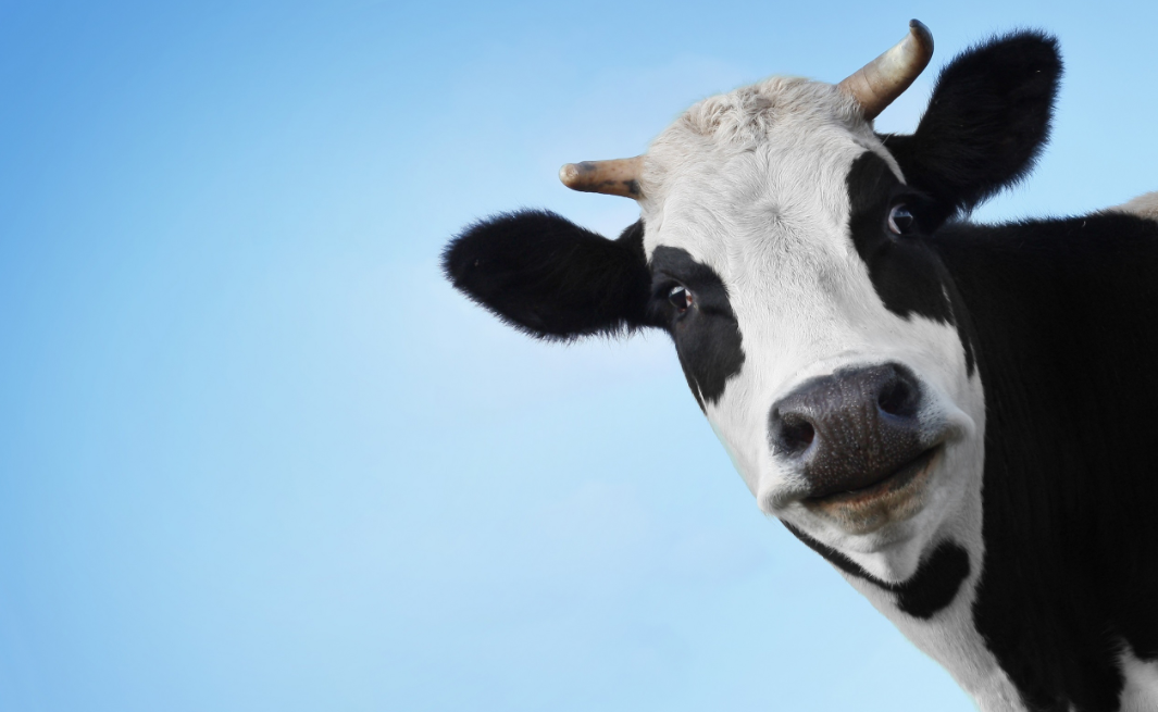 HW40个高危漏洞利用 | CN-SEC 中文网