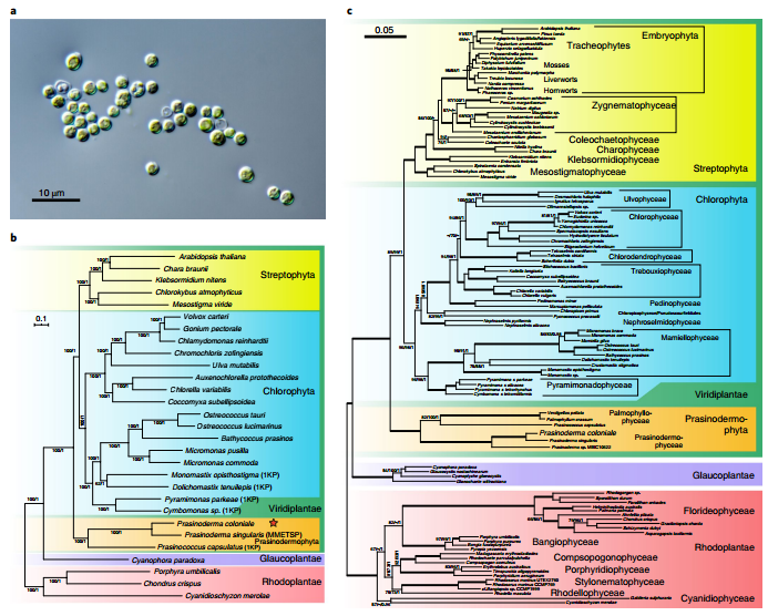 【藻纪事】第四期：2020年9月-10月-行业新闻-江苏宏众百德生物科技有限公司-藻类分析仪_藻类鉴定仪_藻类计数仪_藻类监测仪@江苏宏众百德 ...