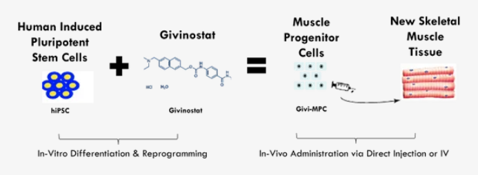 IPS HEART：iPSCs干细胞疗法获FDA授予孤儿药称号医药新闻-ByDrug-一站式医药资源共享中心-医药魔方