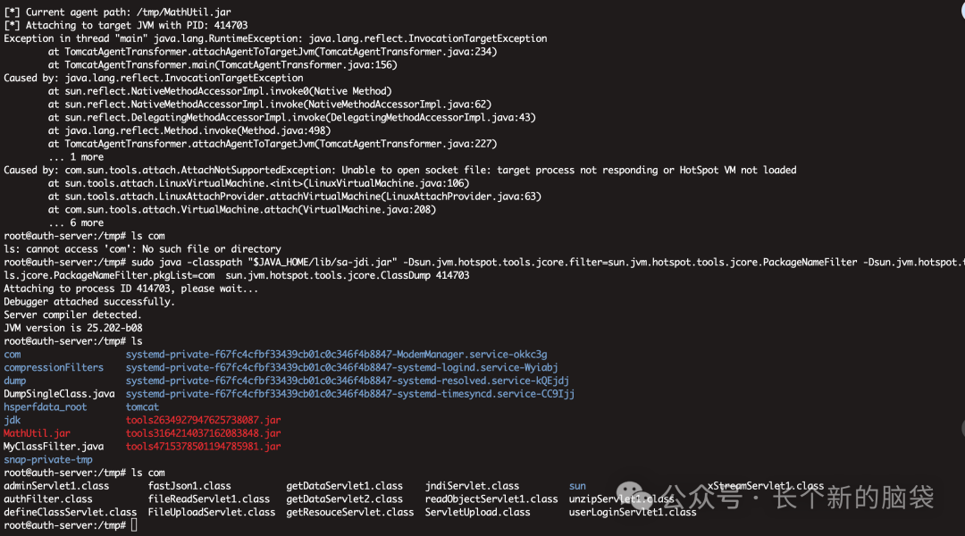 内存马查杀的几种思路和demo - 信息安全知识库