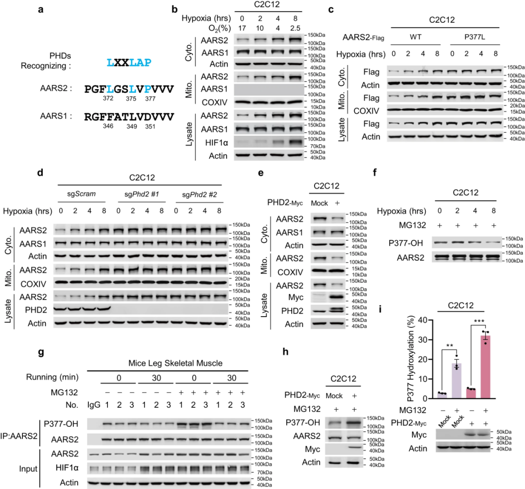 景杰生物-新闻中心