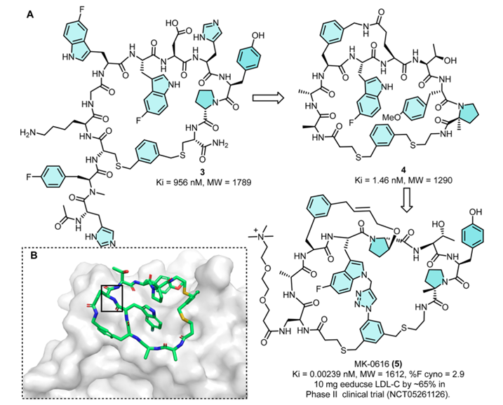 炙手可热降脂新星:PCSK9抑制剂最新进展 - 脉脉