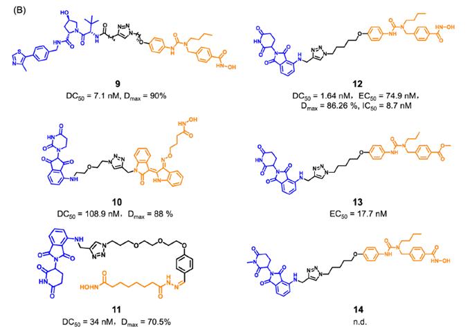 针对靶蛋白非酶功能的PROTAC最新研究进展及展望 - 脉脉