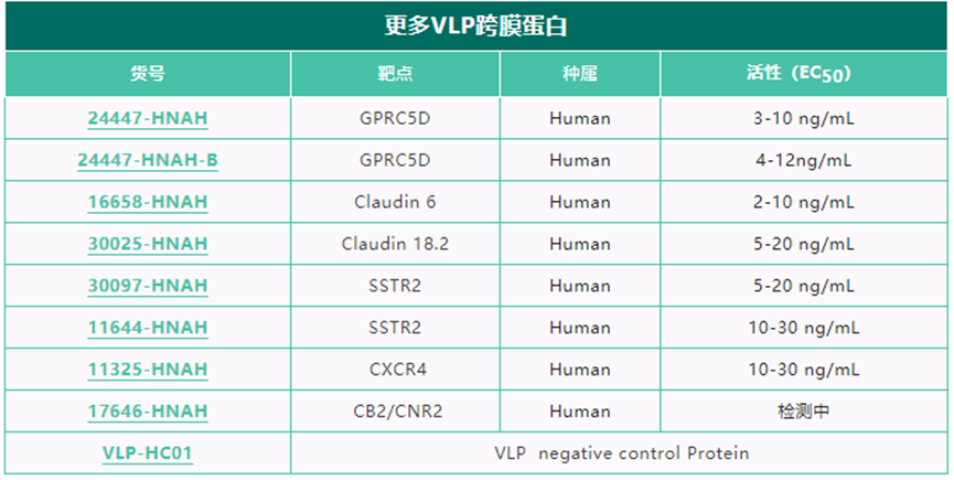 膜蛋白在CAR-T细胞疗法中的研究新进展 - 脉脉