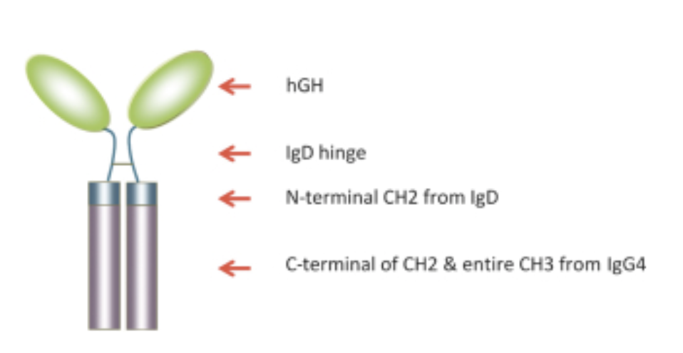交易额高达20.16亿元！济川药业为何押宝天境生物的伊坦生长激素 - 脉脉