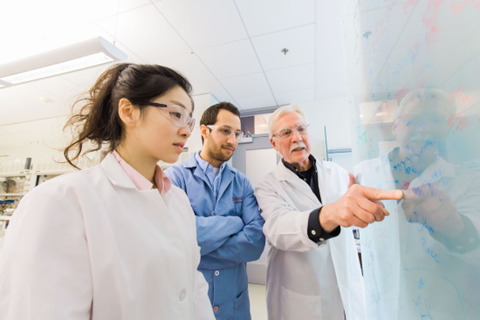 N1 Life完成千万美元融资，斯坦福突破性多肽和纳米技术引领新药开发进入高速高通量时代 - 脉脉