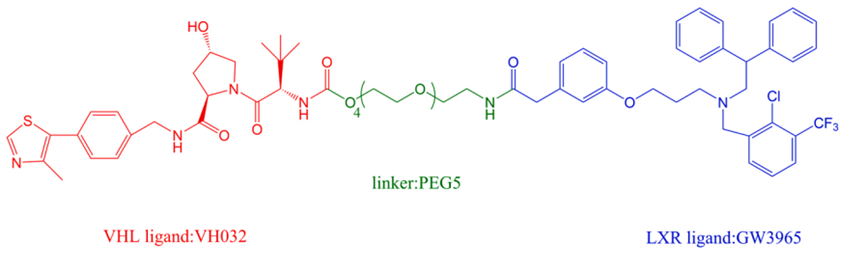靶向蛋白降解技术在治疗代谢疾病领域的应用 - 脉脉