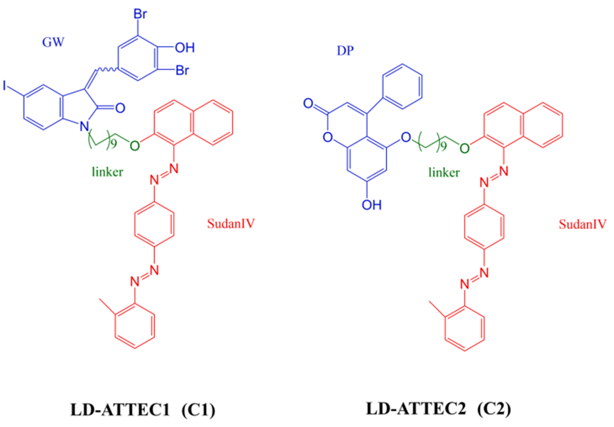靶向蛋白降解技术在治疗代谢疾病领域的应用 - 脉脉