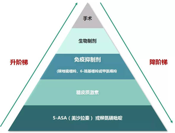 炎症性肠病的国产新药研究进展 - 脉脉