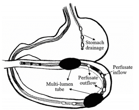 新药早期开发中关键理化性质考量-渗透性预测 - 脉脉