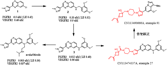 FGFR3抑制剂中的“优等生”——LOXO-435 - 脉脉