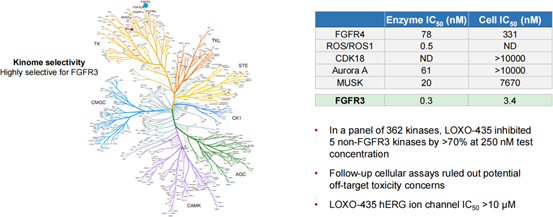 FGFR3抑制剂中的“优等生”——LOXO-435 - 脉脉