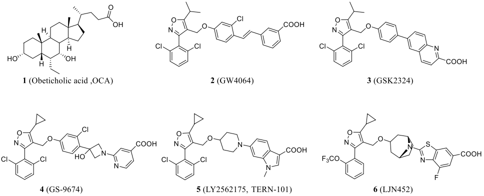 NASH等代谢疾病热门靶点——FXR受体，激动 or 拮抗 ？ - 脉脉