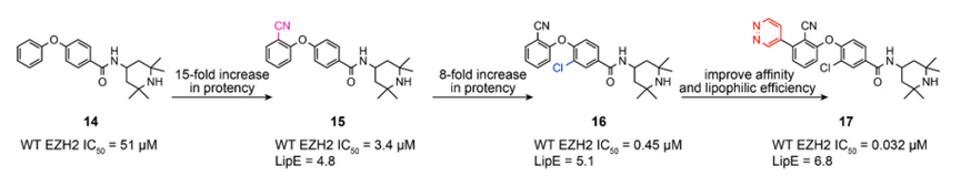 除了恒瑞出海的SHR2554外，EZH2还有哪些研究进展？ - 脉脉