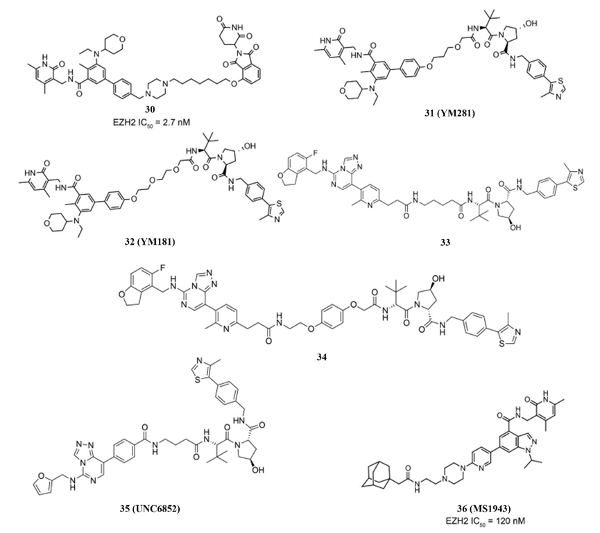 除了恒瑞出海的SHR2554外，EZH2还有哪些研究进展？ - 脉脉