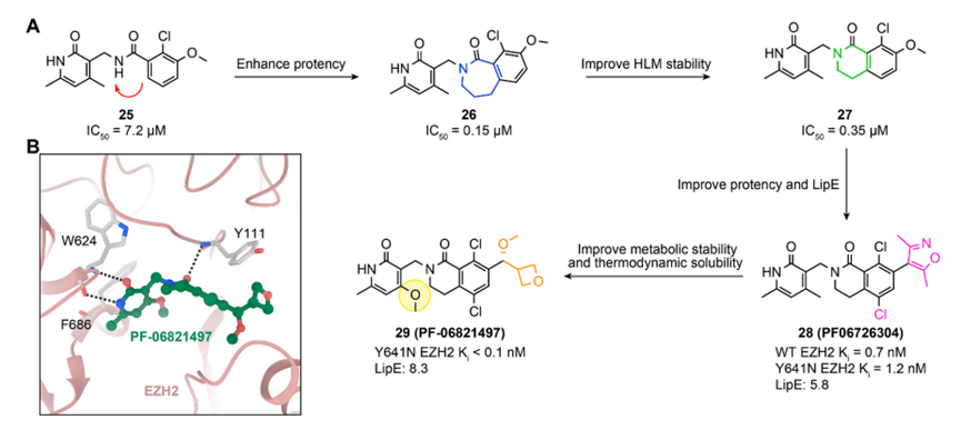 除了恒瑞出海的SHR2554外，EZH2还有哪些研究进展？ - 脉脉