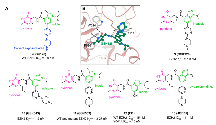 除了恒瑞出海的SHR2554外，EZH2还有哪些研究进展？ - 脉脉