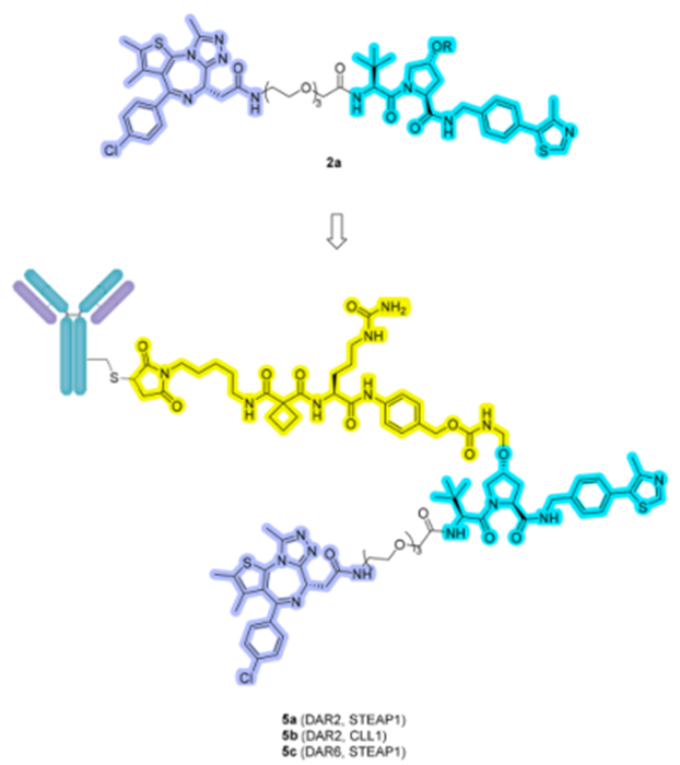 降解物-抗体偶联物（DAC），靶向降解新模式！ - 脉脉