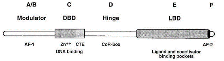 靶向“不可成药”转录因子的新思路及进展 - 脉脉