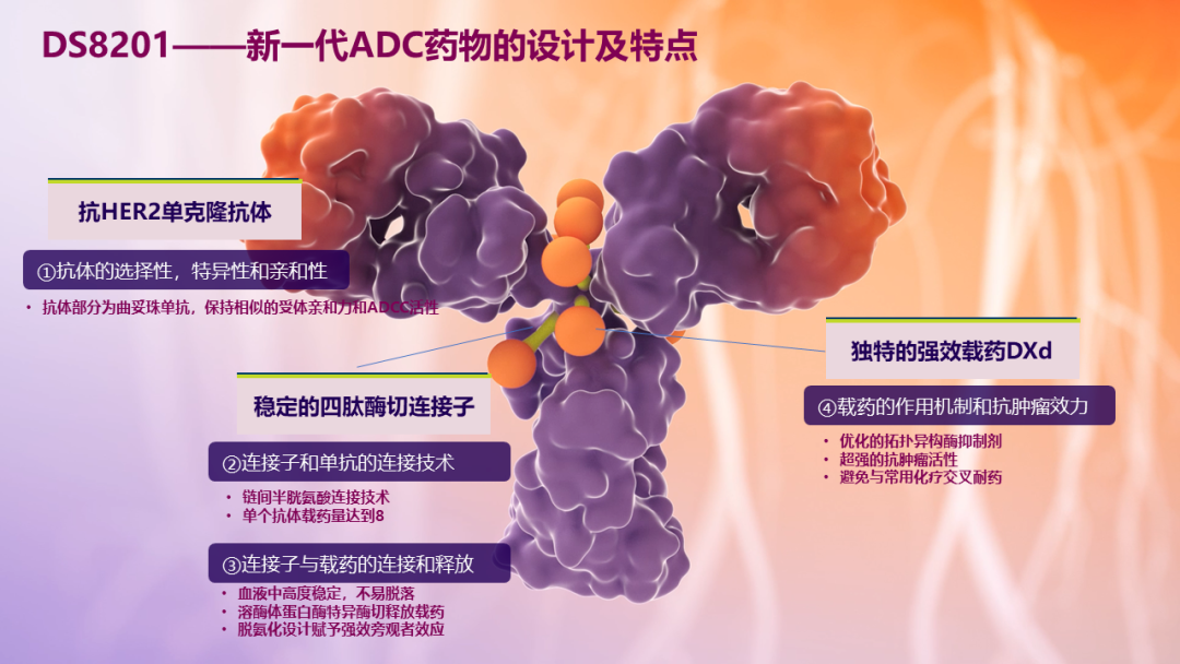 神药＇ADC＇药物到底是什么？
