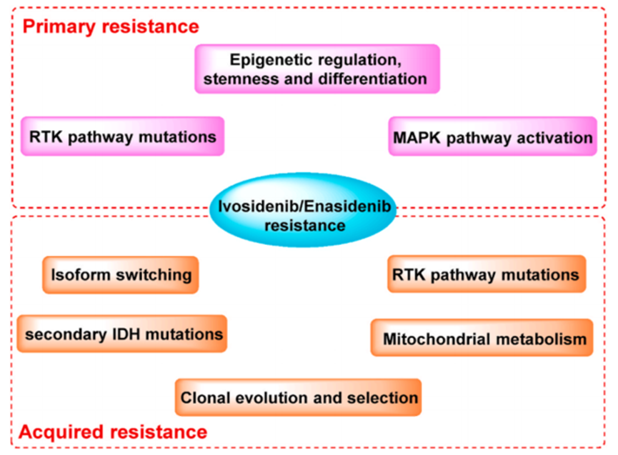 靶向肿瘤代谢时代：IDH2抑制剂及IDH1/2药物开发策略医药新闻-ByDrug-一站式医药资源共享中心-医药魔方