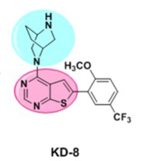 重磅！国内首个KRAS G12D抑制剂获批临床 - 脉脉