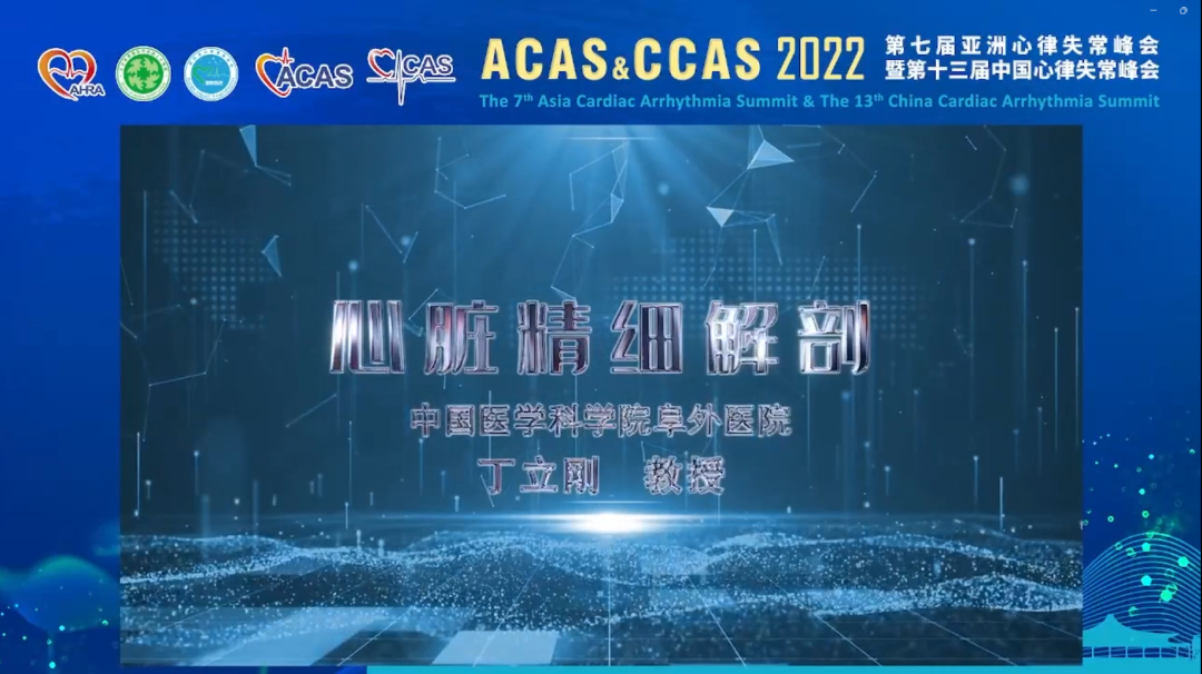 ACAS&CCAS 2022｜持续深化 学无止境 让电生理学习蔚然成风 雅培电生理专题培训会圆满落幕 -- 严道医声网