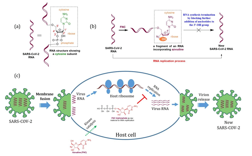 歌礼新冠口服药ASC10已获FDA批准Ib期临床研究，NMPA受理临床申请 - 脉脉