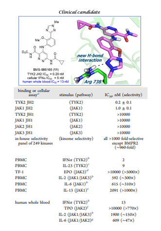 TYK2 JH2靶点抑制剂研发进展盘点 - 脉脉