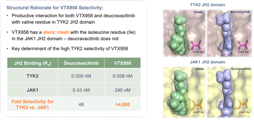 TYK2 JH2靶点抑制剂研发进展盘点 - 脉脉