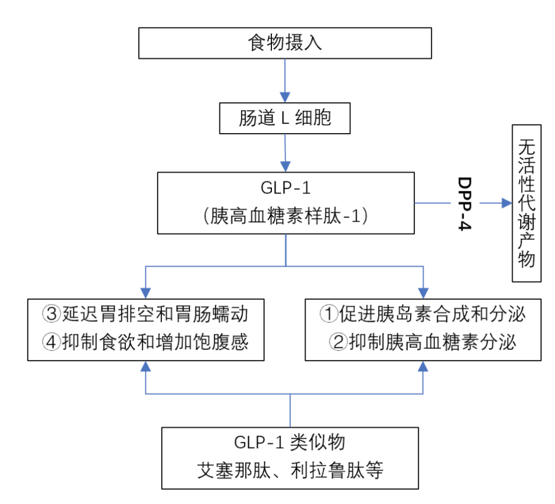 信立泰自研小分子化药SAL0112获临床许可，拟用于II型糖尿病 - 脉脉