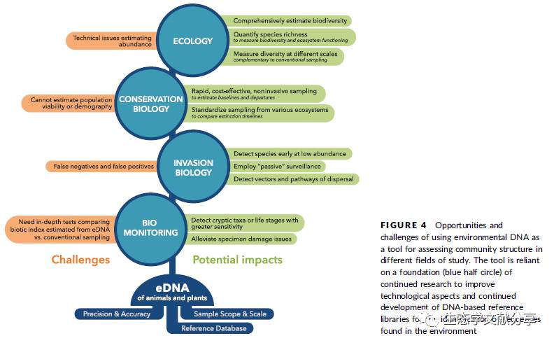 科学网—综述：环境DNA（eDNA)宏条形码助力生物多样性研究 - 杨预展的博文