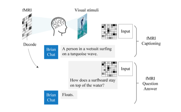 BrainChat：利用预训练视觉-语言模型从fMRI解码语义信息 | 𝖲𝗈𝗆𝖾𝗍𝗁𝗂𝗇𝗀𝗔𝗜