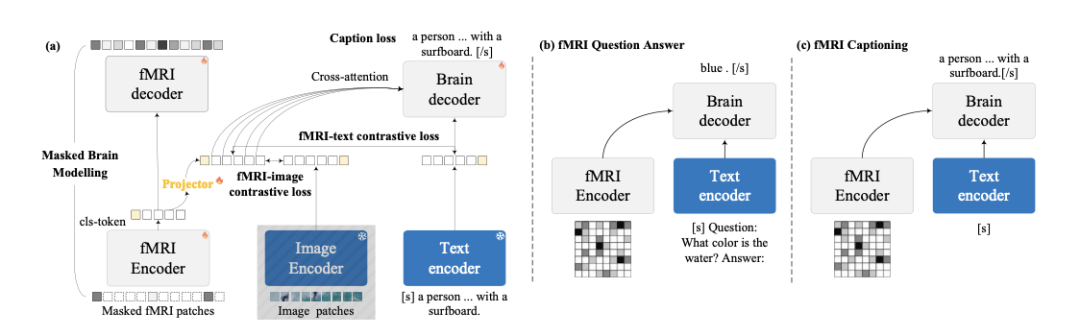 BrainChat：利用预训练视觉-语言模型从fMRI解码语义信息 | 𝖲𝗈𝗆𝖾𝗍𝗁𝗂𝗇𝗀𝗔𝗜