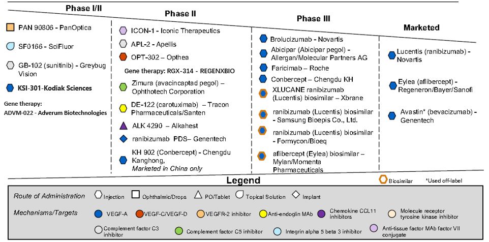 谁是AMD治疗领域的下一个赢家？