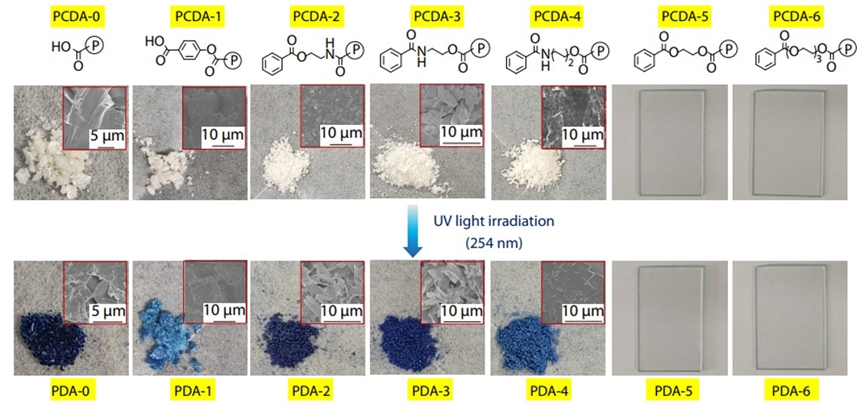 科学网—中国科学技术大学葛学武教授和汪谟贞副教授课题组研究论文：可逆热致变色聚二乙炔的制备及结构-性能调控机制 - 刘文睿的博文