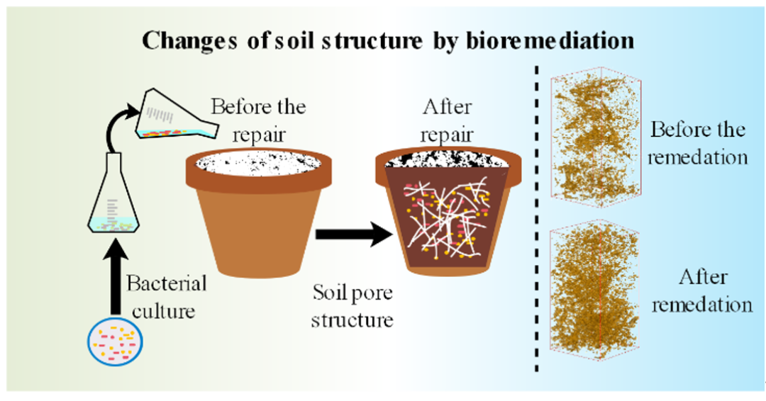 科学网—作者解读 | JHM：利用MICP（微生物诱导碳酸钙沉淀）技术修复铅污染对土壤物理结构的影响 - 江舜尧的博文