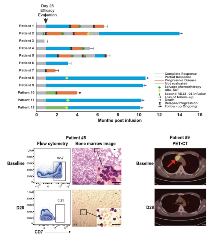 盘点丨CD7 CAR-T疗法研发难点及在研项目 - 脉脉