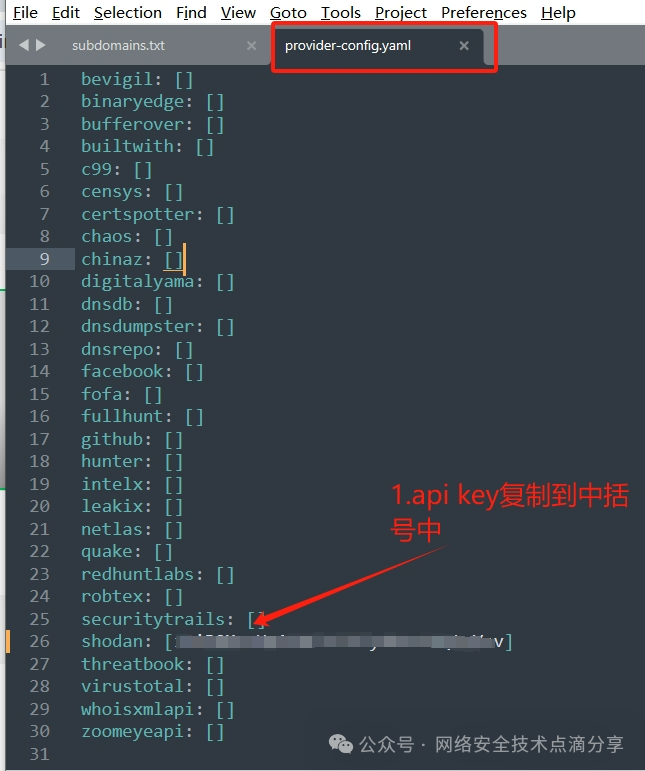 subfinder 子域名扫描实操-腾讯云开发者社区-腾讯云