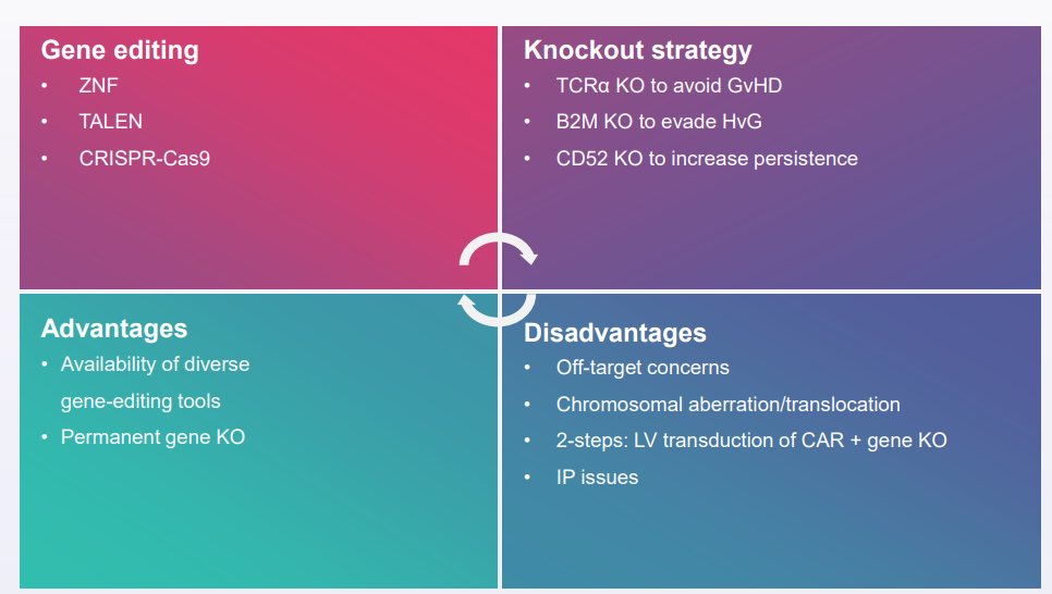 国产通用型CAR-T产品梳理 - 脉脉