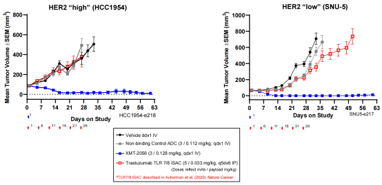一波三折！Mersana重启被暂停的STING激动型ADC临床医药新闻-ByDrug-一站式医药资源共享中心-医药魔方