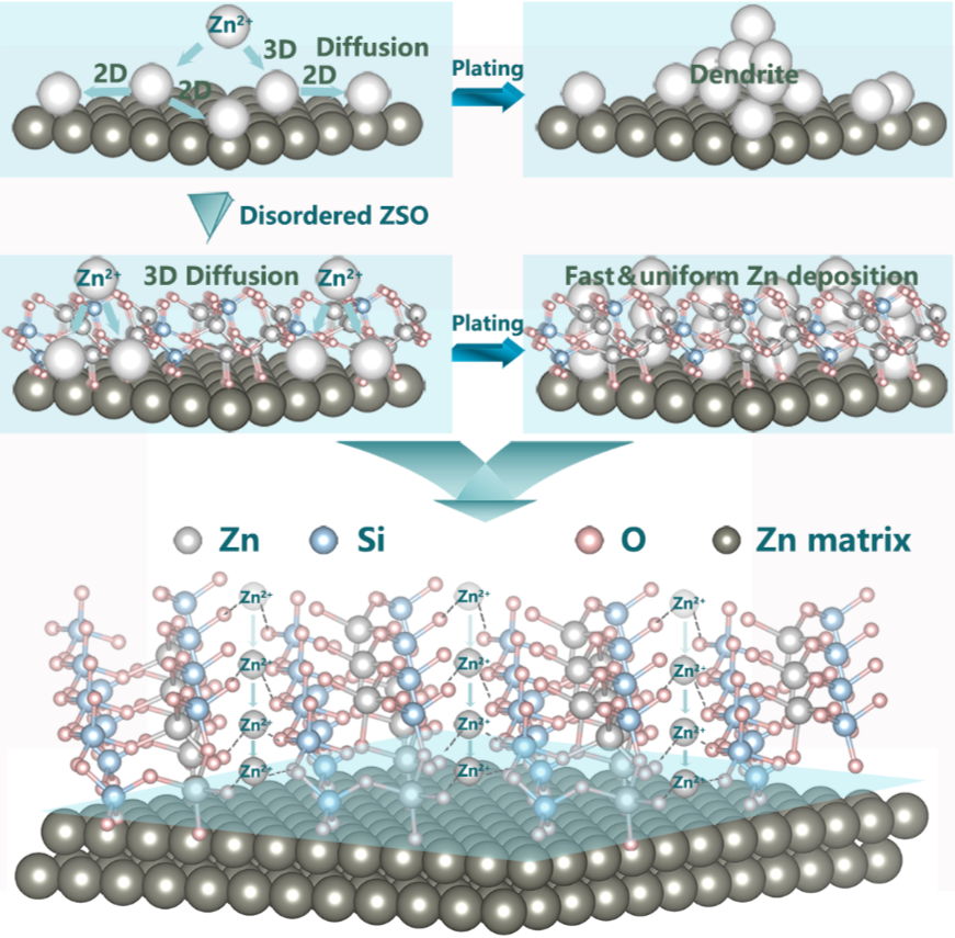 电池研究 | Matter“锌”然而至:无序界面相助力高性能Zn电池/Zn-I2电池