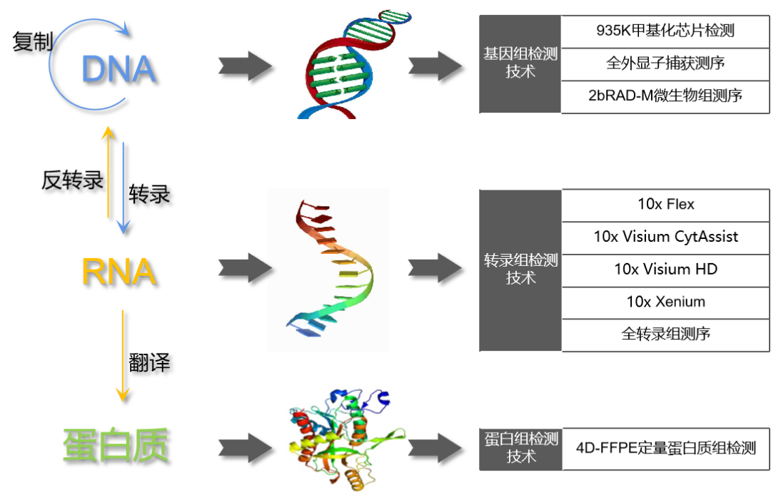9种组学技术全面解码FFPE石蜡样本-欧易生物