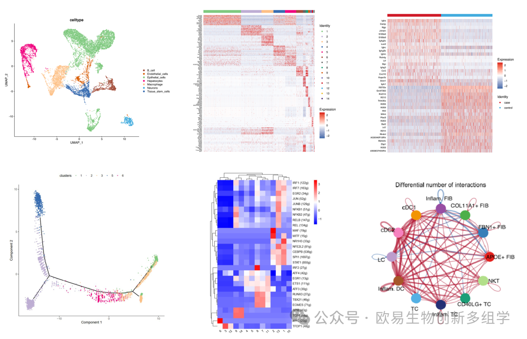 9种组学技术全面解码FFPE石蜡样本-欧易生物