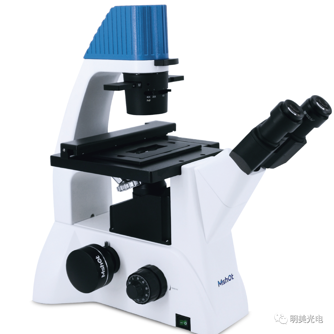 眼睛痒是因为长螨虫？明美显微镜与您一探究竟