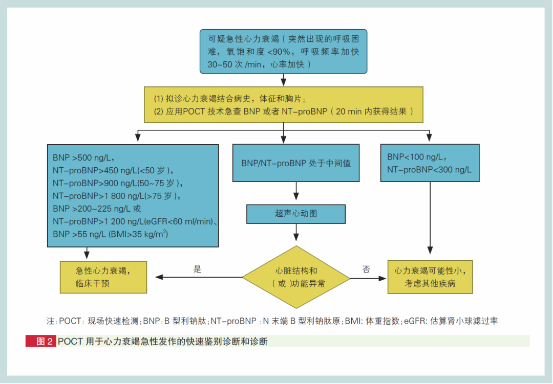 POCT技术检测cTn和BNP/NTproBNP的临床应用，这几点要了解_CACLP体外诊断资讯网