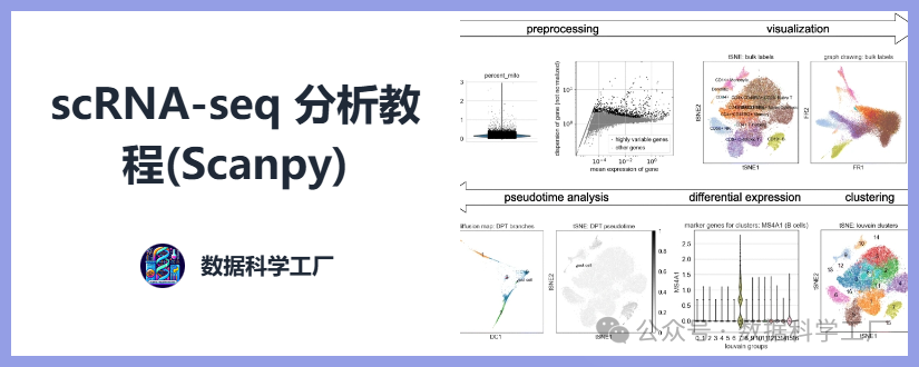 Scanpy 分析 3k PBMCs：寻找 marker 基因-腾讯云开发者社区-腾讯云