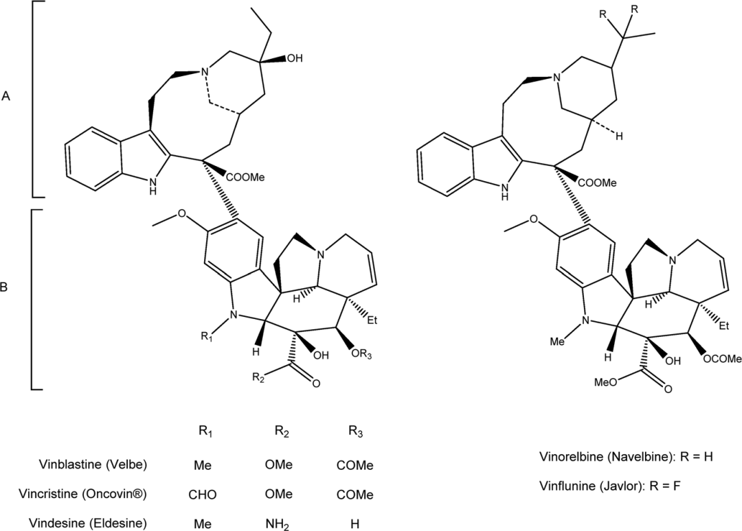 盘点ADC有效载荷背后的故事：微管蛋白抑制剂 - 脉脉